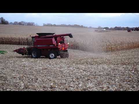 Case 2588 Combine Harvesting Corn near Waconia, MN - YouTube