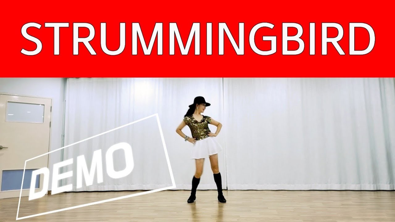 STRUMMINGBIRD ABSOLUTE BEGINNER LINE DANCE 스트러밍버드 왕초급라인댄스 - YouTube