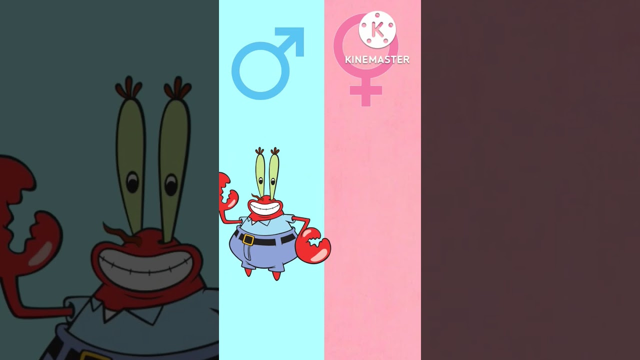 SpongeBob gender swap edit | #shorts #popular #viral #trending #love # ...