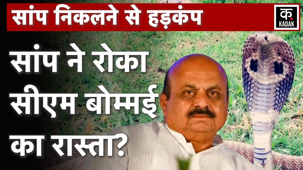 Snake found in BJP Office: Karnataka Election Result के बीच बीजेपी दफ्तर में निकला सांप | Kadak ...