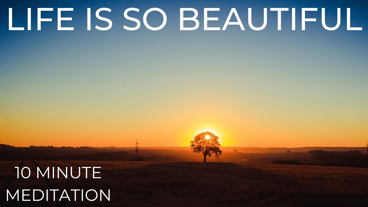 LIFE IS SO BEAUTIFUL - The Daily Calming Anxiety Podcast show - YouTube