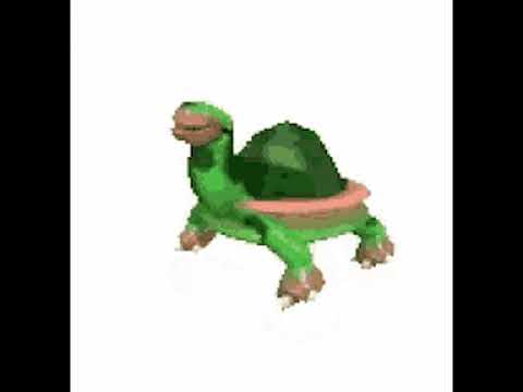 Turtle doing very funny dance ha ha - YouTube