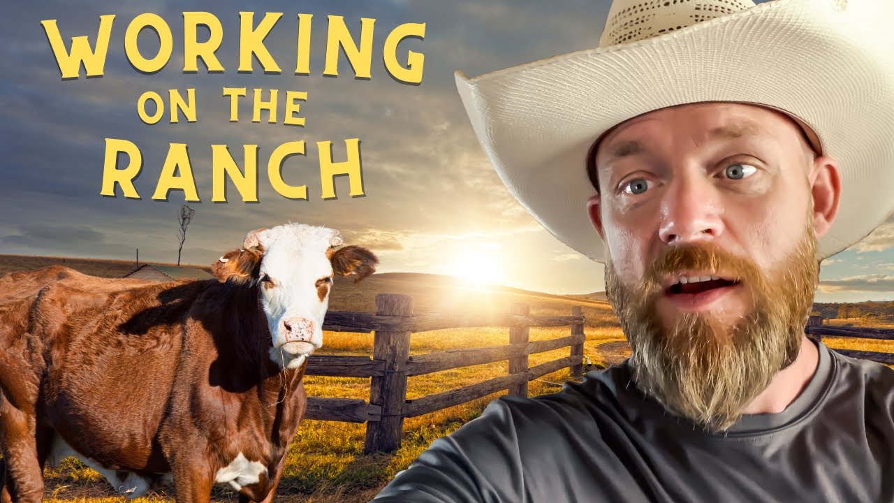 Ranch Demo: Time to Gut Out Some Horrible Old Electrical Work - YouTube