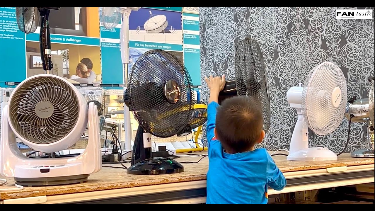 Ceiling Fans and desk fans display at the store - YouTube