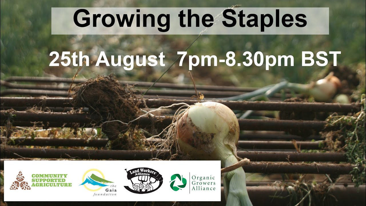 Growing the Staples Webinar - YouTube