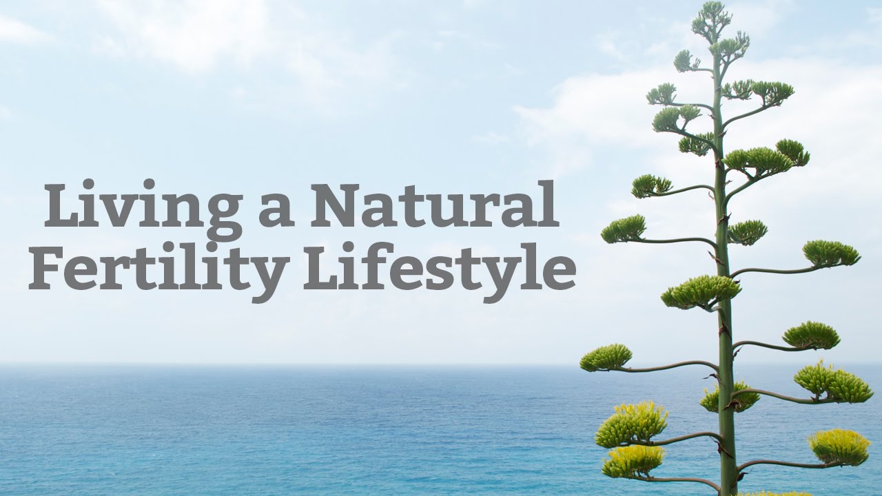 Natural Fertility Coaching Video #7: Living a Natural Fertility ...