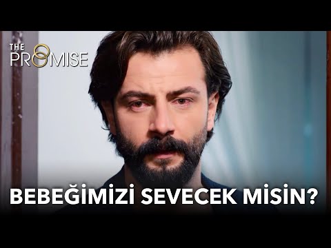 Bebeğimizi seveceksin değil mi? | Yemin 245. Bölüm