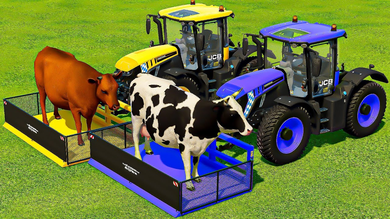 TRANSPORTING & LOADING COWS WITH JCB FASTRAC TRACTORS - Farming ...