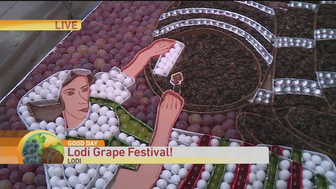 Lodi Grape Festival Preview - YouTube