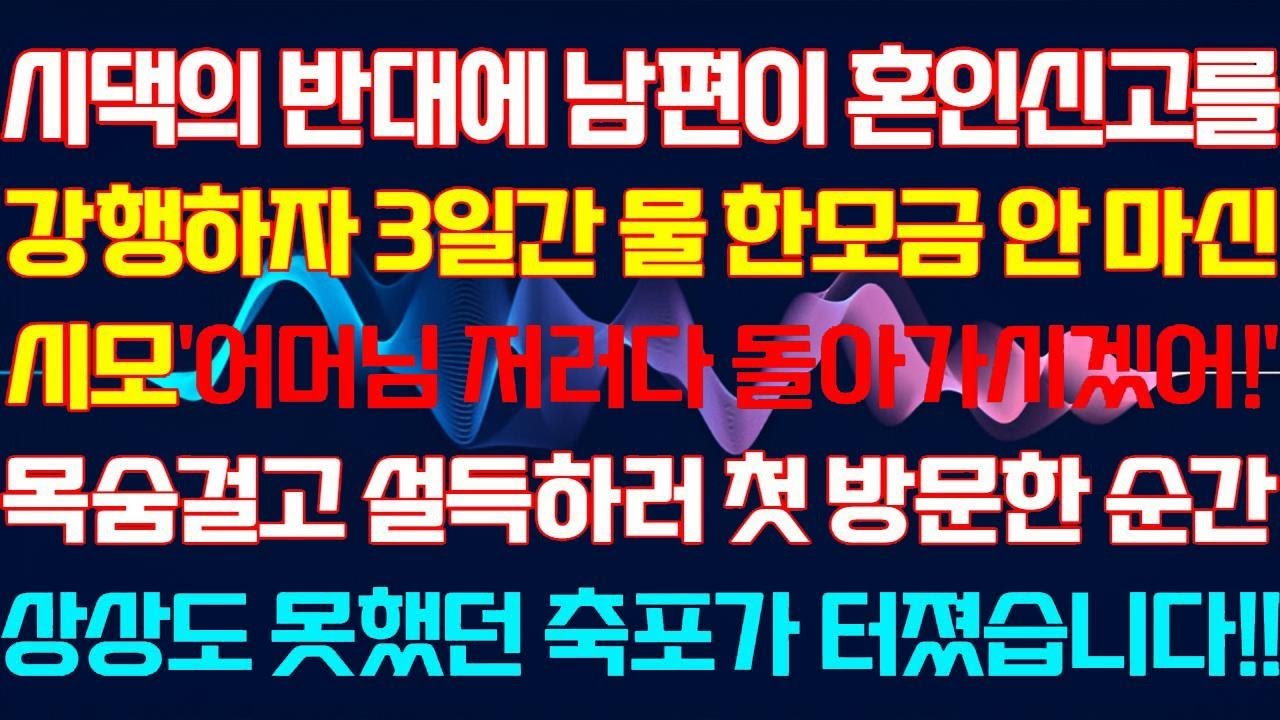 남편이 시어머니의 반대를 겁 없이 무시하고 결혼신고를 하기로 결심했습니다 시어머니께서 3일간 아무것도 드시지 않은 상태에서