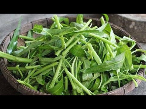 karmi ka saag recipe। power full hai karmi ka ye saag - YouTube