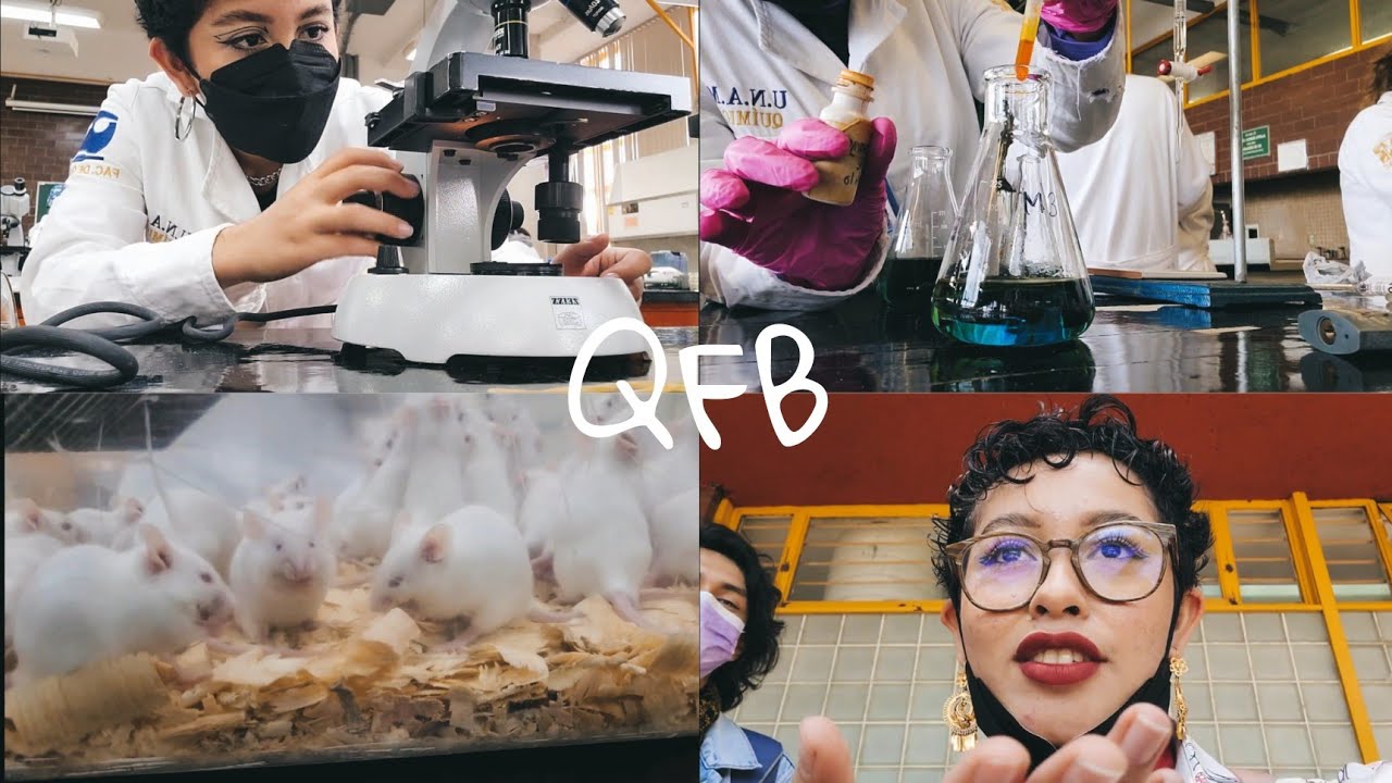 una semana estudiando QFB en la UNAM | nos fuimos a paro 🤣 - YouTube