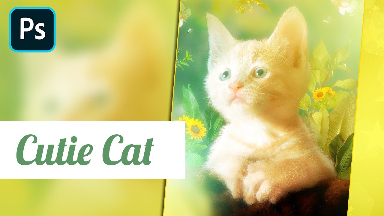 Cutie Cat | Making Poster Tutorial In Photoshop Speed Art - YouTube
