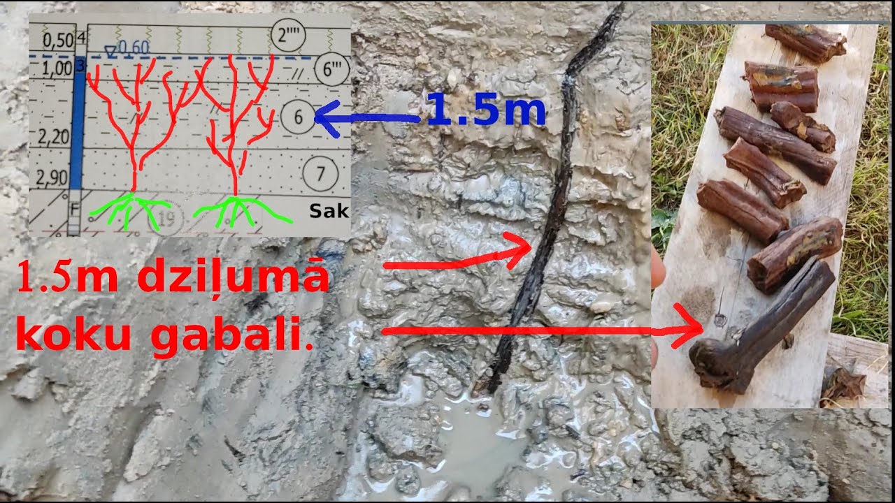 1.5m dzļumā atradu koku gabalus ! Lv - YouTube