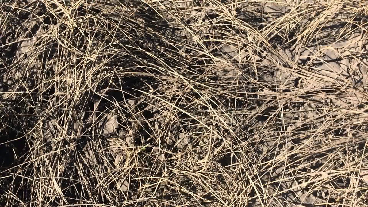 RMBL-ERF Overbank Deposition May 2 2014 - YouTube