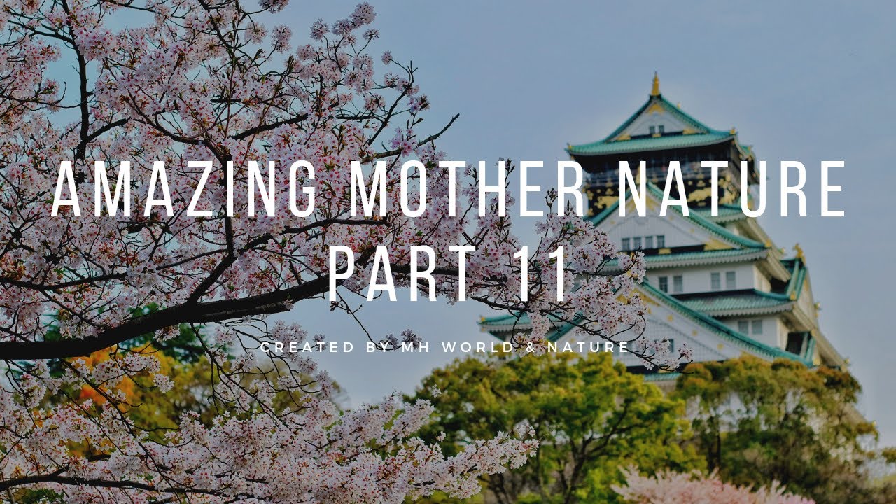 Amazing Mother Nature | Most Beautiful Trees | Nature | HD - YouTube