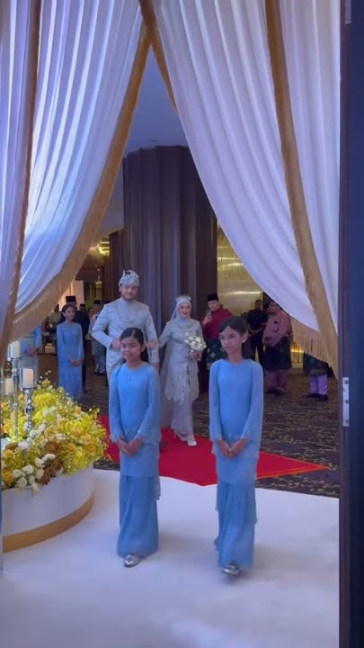 Kerabat² Diraja di Majlis Resepsi Raja Sarina Intan Bahiyah & Muhammad Firdaus - YouTube