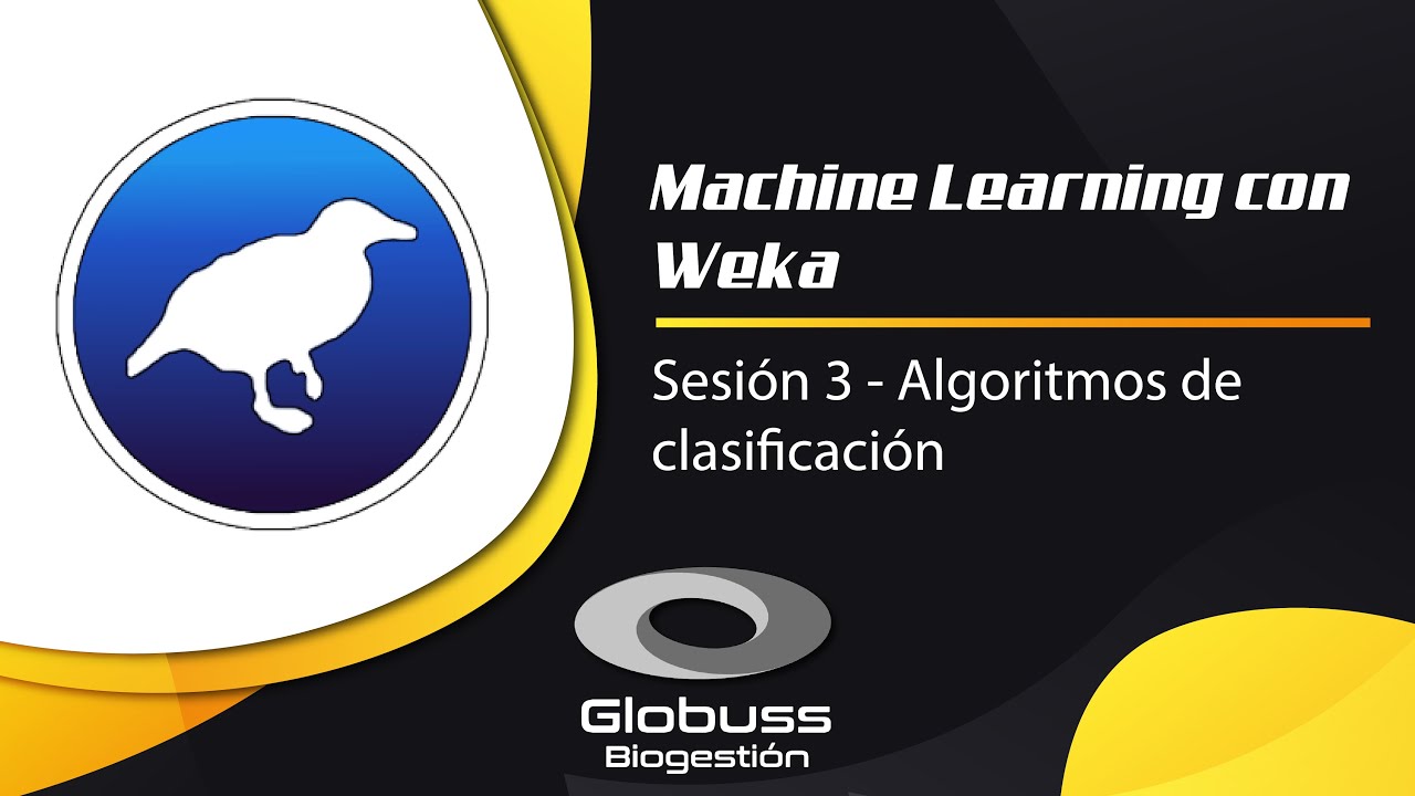 [ALGORITMOS DE CLASIFICACIÓN EN IA] - Todos los tipos WEKA - YouTube