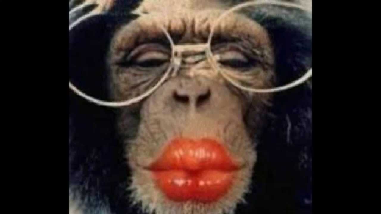 photo pour rire صور لضحك - YouTube