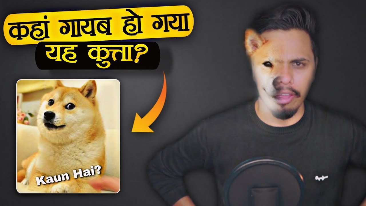 कहां गया यह Famous कुत्ता? Dogecoin Dog | Behind the doge meme | KBH 59 ...