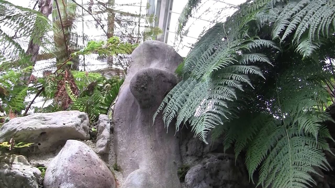 Restored Victorian Fernery - YouTube