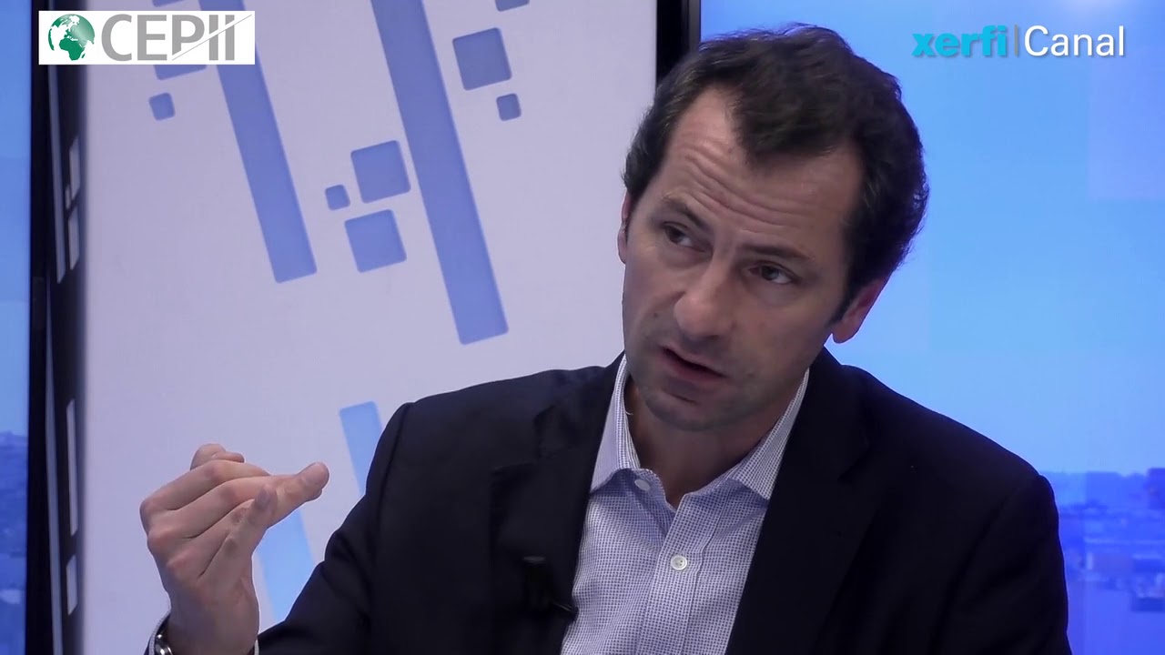L’économie mondiale en 2019 : la montée des risques [Sébastien Jean ...