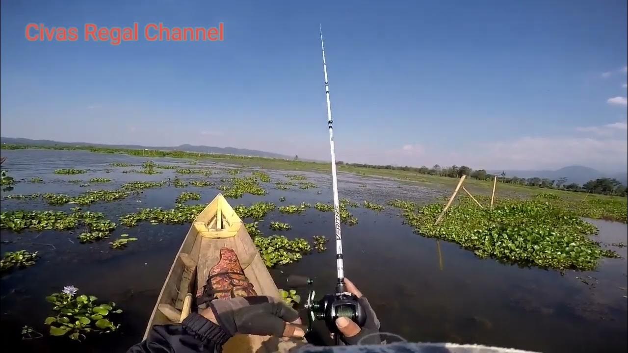 LINNHUE Baitcasting Reel BS2000 8.1:1 Speed Reel Fishing Saltwater Fresh Casting Fishing Reel ...