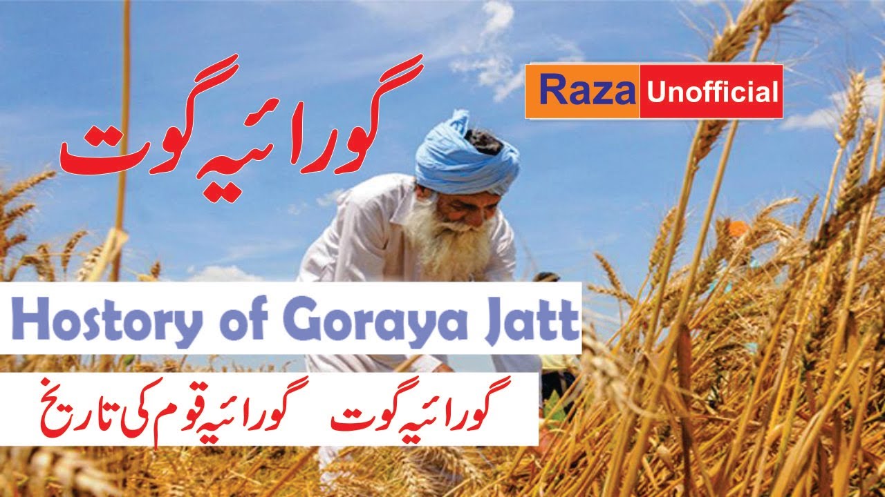 History of Goraya jatt | History of caste Goraya jutt | latest video ...