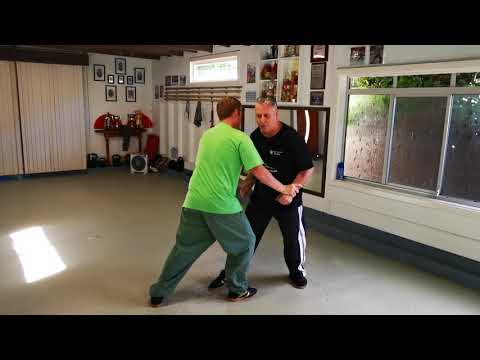 Tai Chi Raise Hands Applications with Lao Shi Damon Bramich