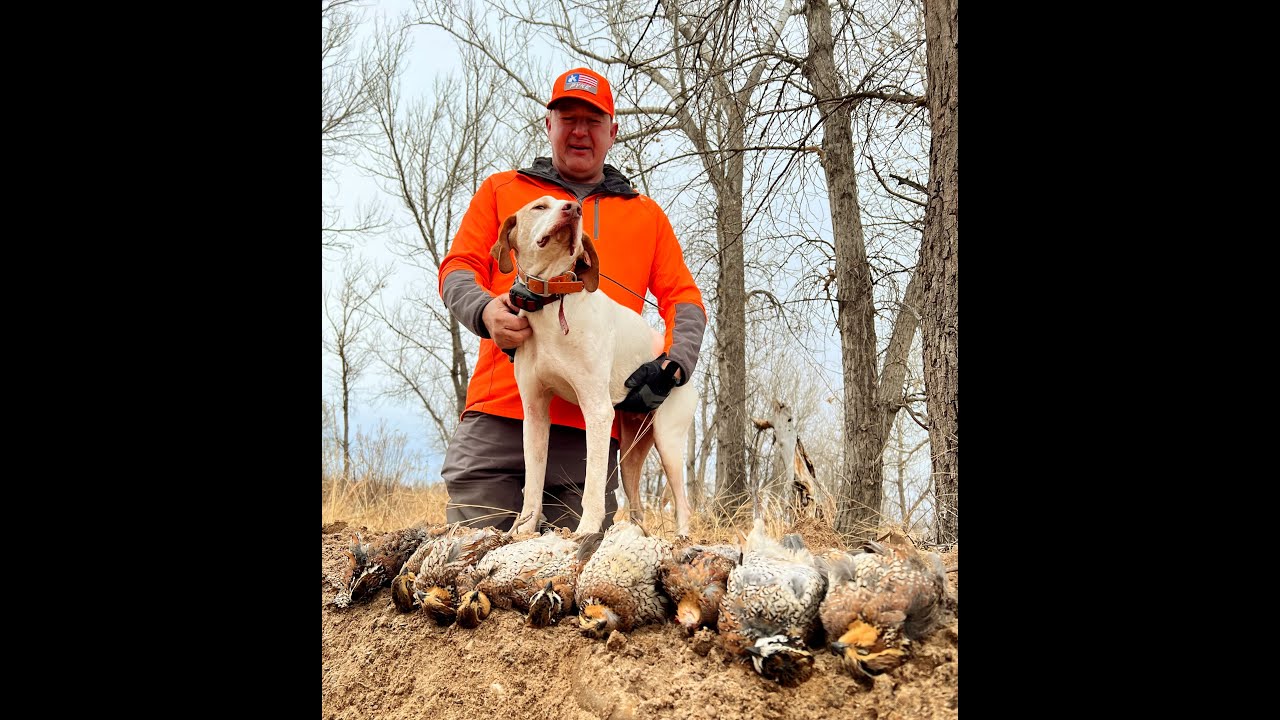 Riley's Sand Bowl Covey | Oklahoma Quail Hunting - YouTube