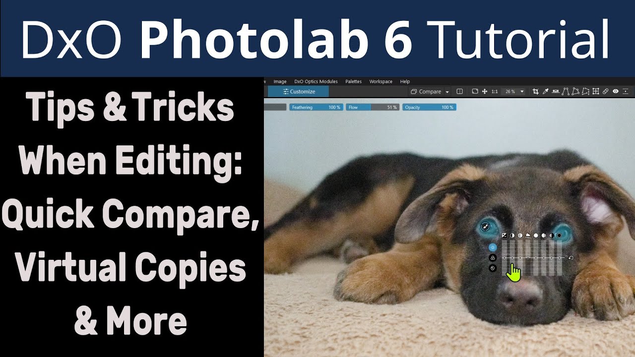 DxO Photolab 6 Elite: Editing Tips & Tricks-Comparison Tools, Virtual ...
