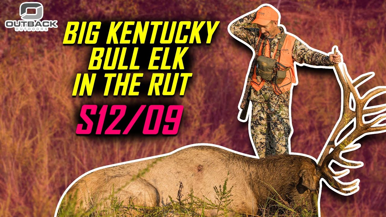 Big Kentucky Bull Elk in the Rut S12/E09 - YouTube