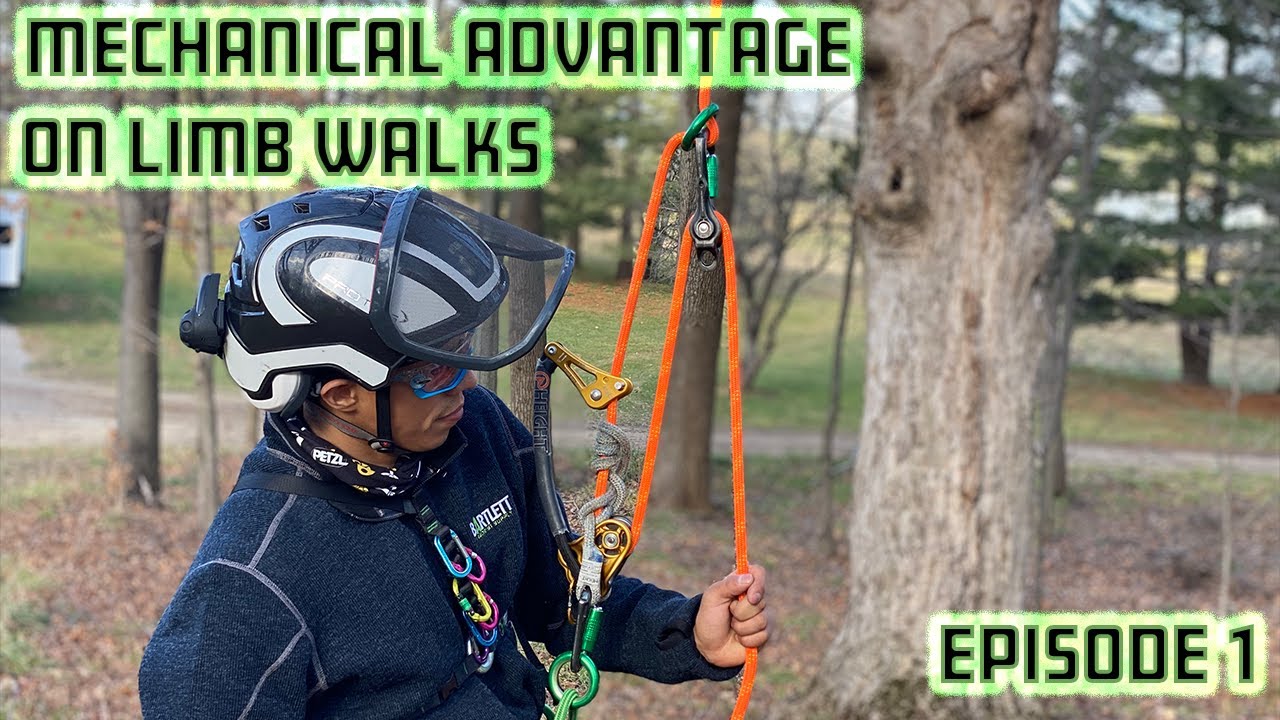 M.A. on Limb walks Ep.1 - YouTube