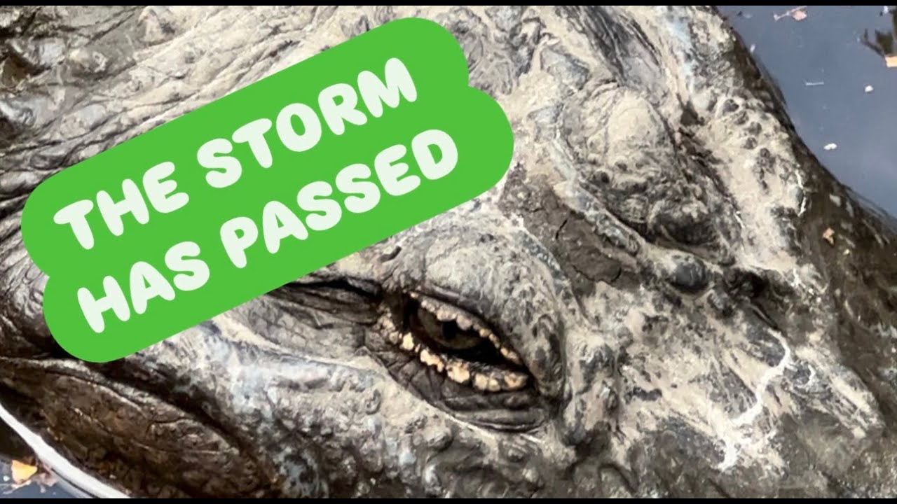 THE STORM HAS PASSED #getswamped #shareyourpassion #randomactofkindness ...