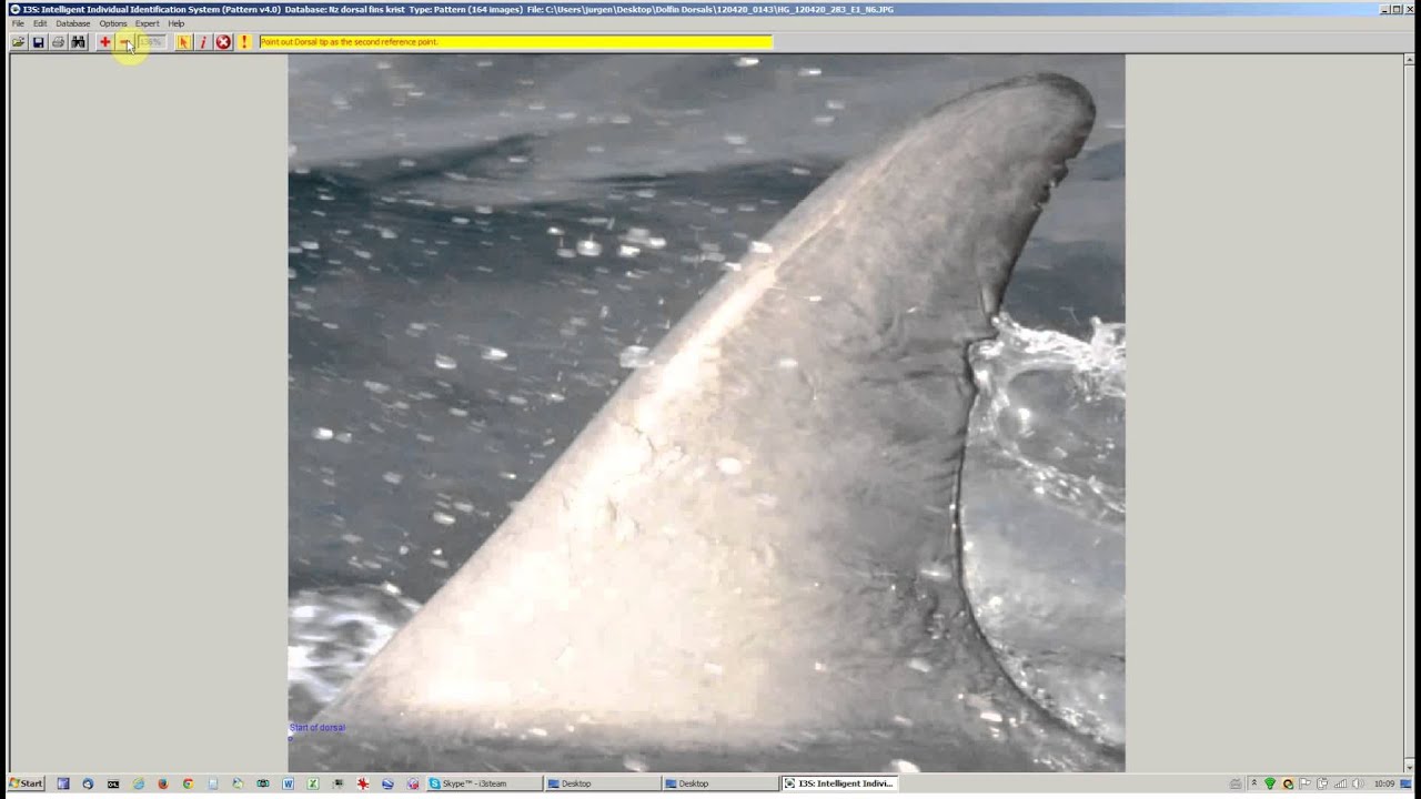 I3S Pattern v4 0 Dorsal Fin Annotation - YouTube