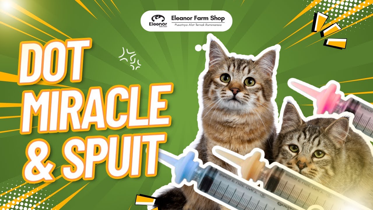 [Program MMM] Mbak Mawar Menjelaskan Dot Miracle dan Spuit Kucing Dot ...