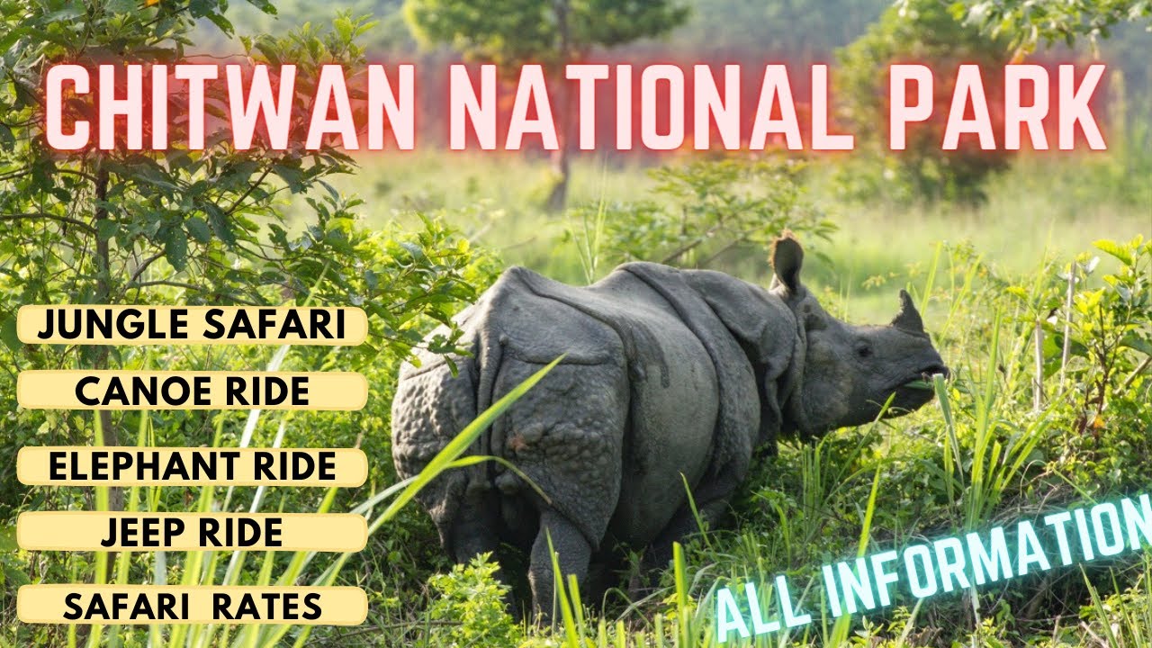 Pokhara to Chitwan / River View Jungle Camp Chitwan /Chitwan National ...