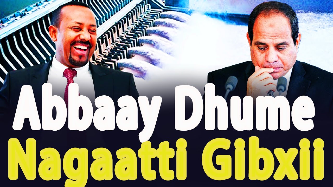 🔴ODUU AMMEE🔴 Gibxii Nagaatti Ijaarsi Abbaay dhumate🔴 Itoophiyaan ...