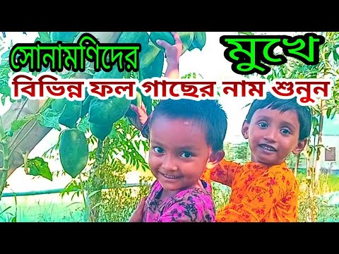 গ্রামীণ দৃশ্য || সোনামণিদের মুখে ফল গাছের নাম শুনুন || Israt Jahan ...