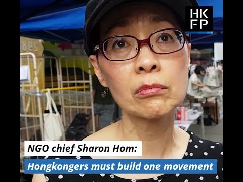 NGO chief Sharon Hom on why Hongkongers should build one movement with mainland activists
