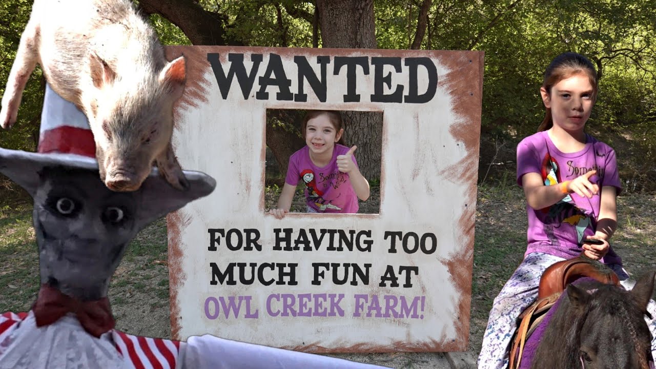 Owl Creek Farm Pumpkin Patch & Haunted Hike | Fun by Day - Scary by Night! - YouTube