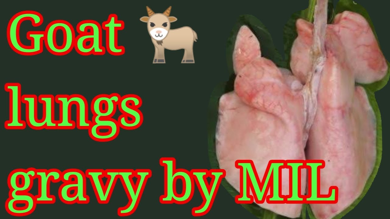 goat 🐐 lungs recepie by MIL(mother in law) - YouTube