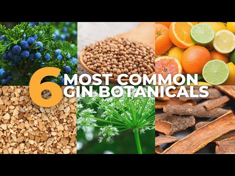 Die 6 häufigsten Gin-Botanicals