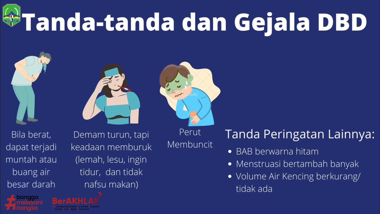 WASPADA DEMAM BERDARAH DENGUE (DBD) - YouTube