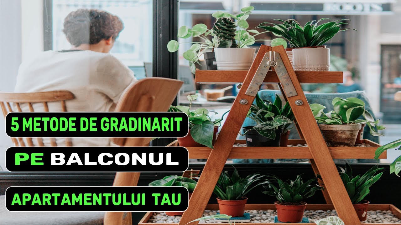 5 METODE pentru GRADINARIT URBAN (APARTAMENT) - YouTube
