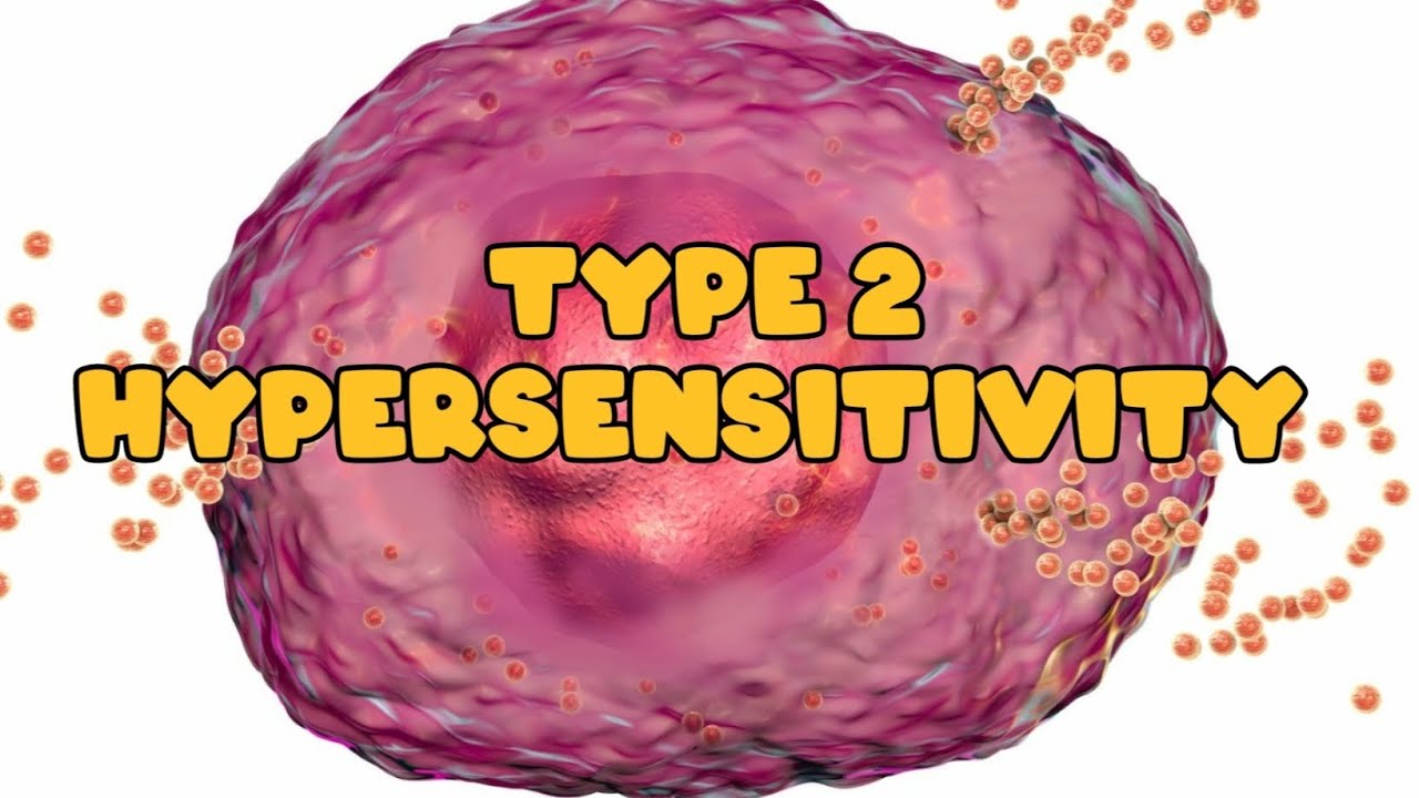 Type II hypersensitivity reaction - YouTube