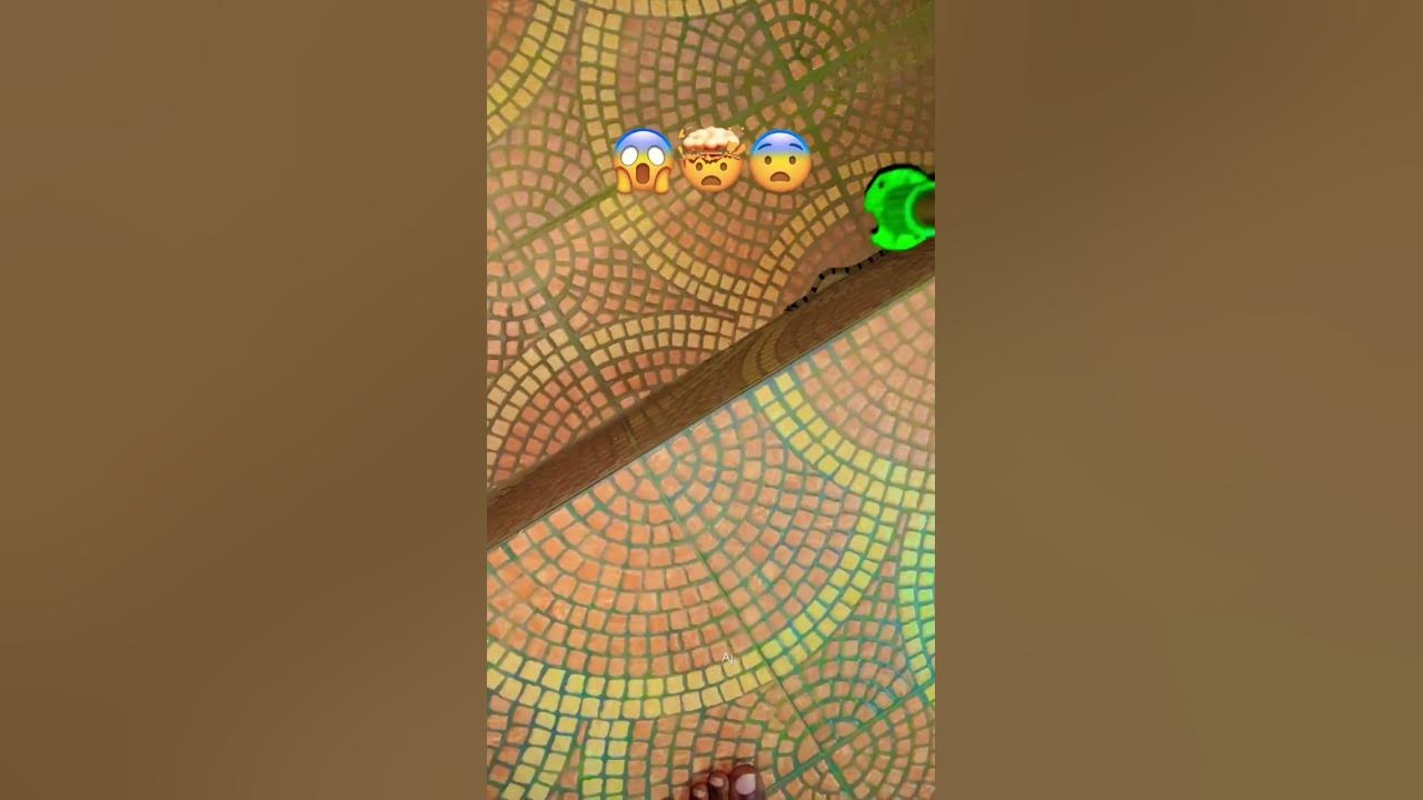 Python 🐍😱😨🤯 Youtube