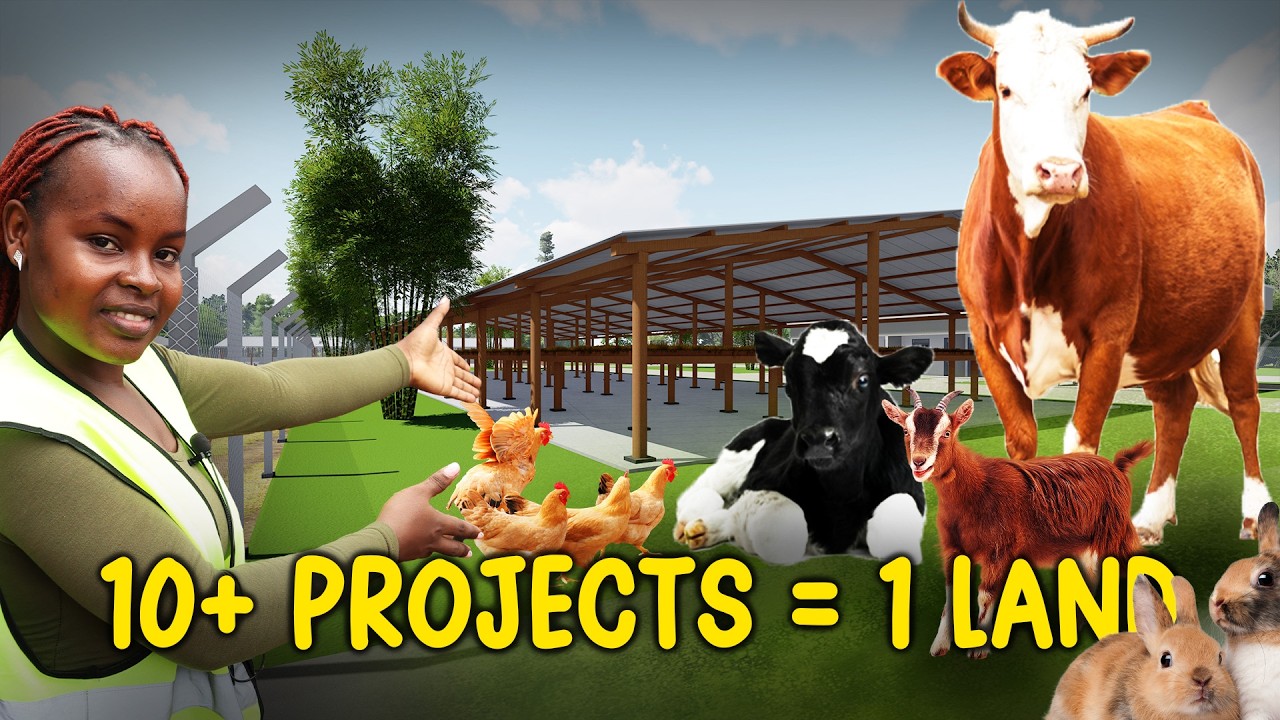 How to Maximize a 7-Acre Farm: Diary structures, Rabbit Housing ...