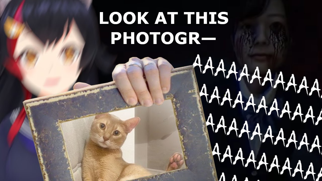 Mio demonstrates the effectiveness of cat pictures - YouTube