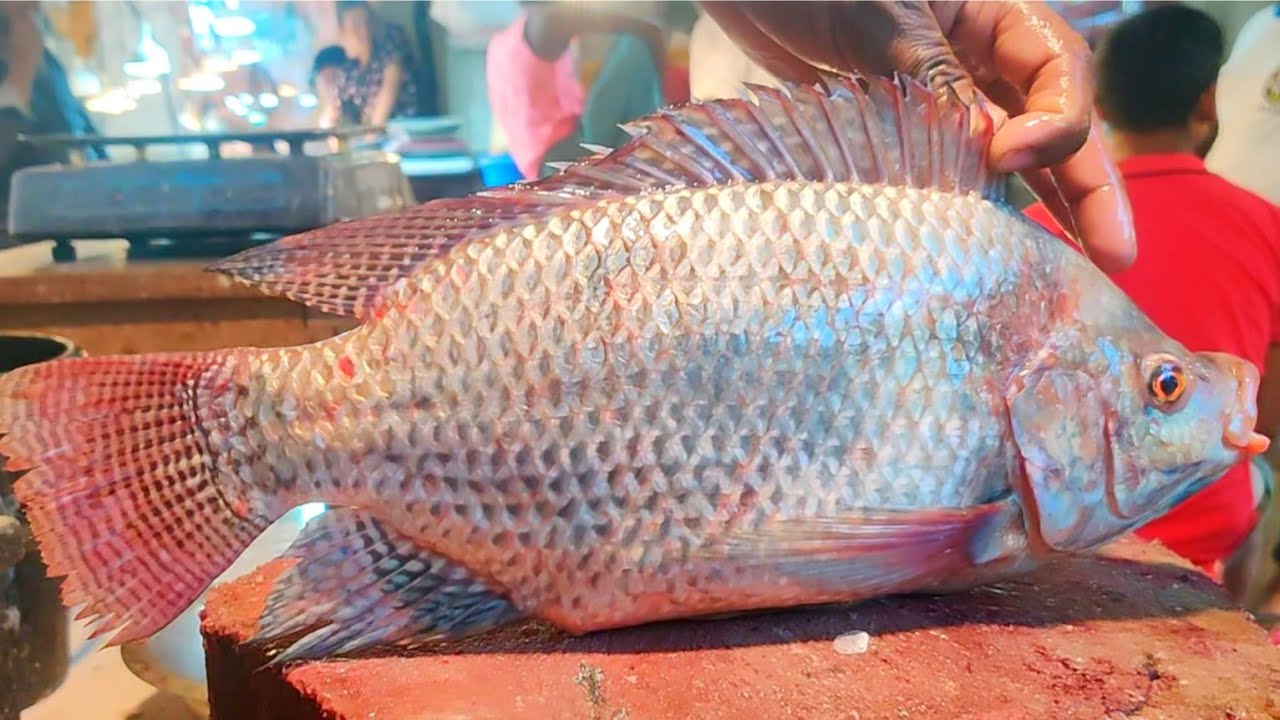 Amazing Huge Tilapia Fish Cutting Skills Live In Bangladesh Fish Market ...